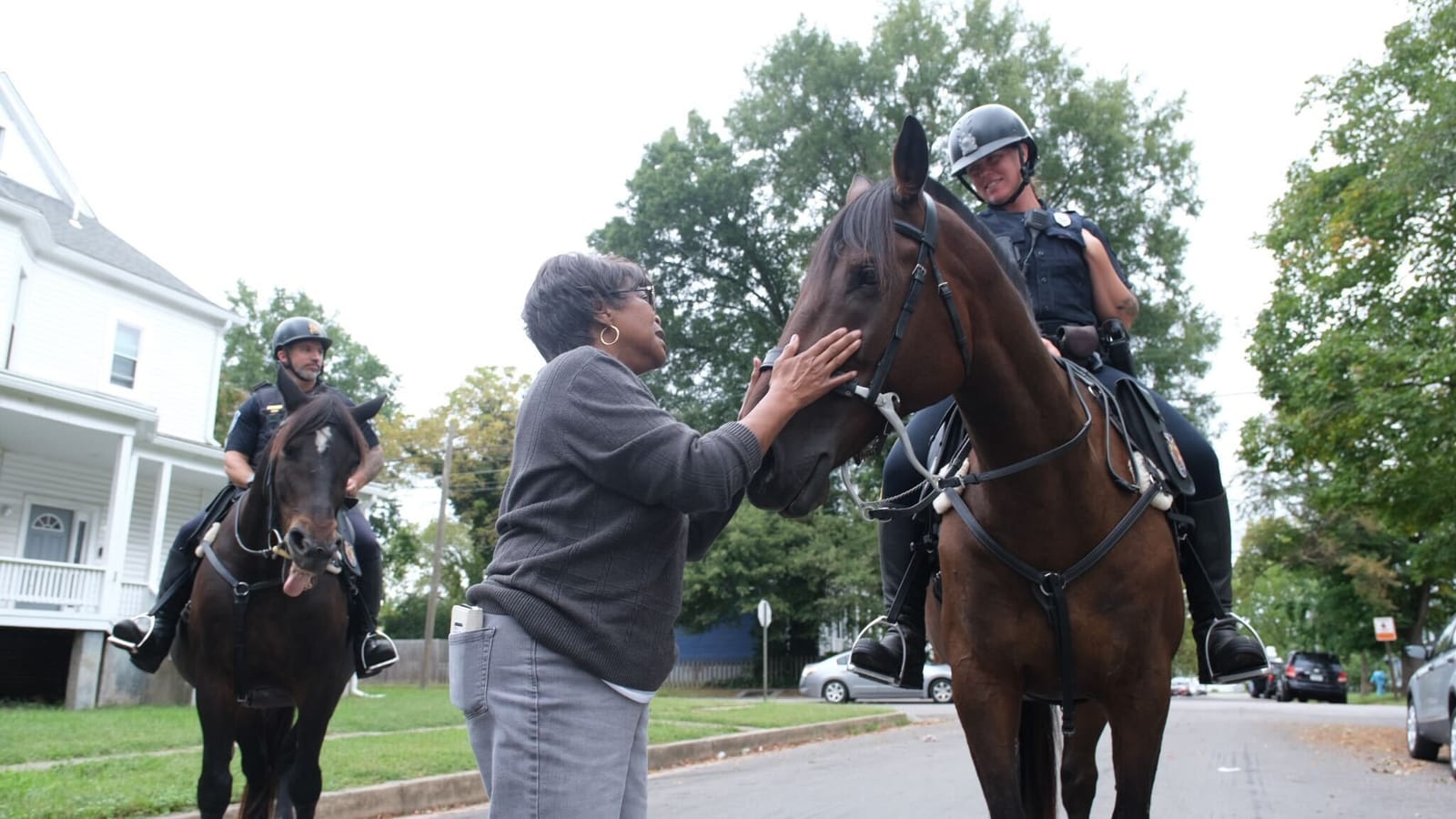 After years in a stable under an overpass, Richmond’s police horses ...